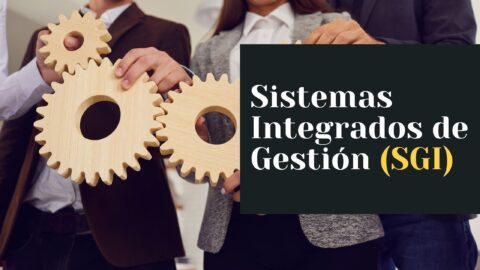 Optimizando Sistemas Integrados de Gestión - Grupo MCS